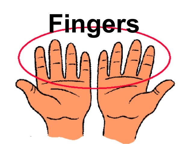 Body parts vocabulary