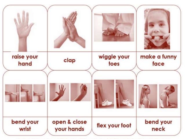 Body parts presentation | PPTX