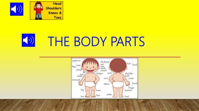 Body parts PowerPoint presentation