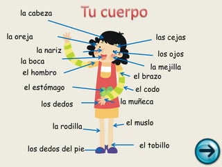 Body parts spanish 3 | PPTX