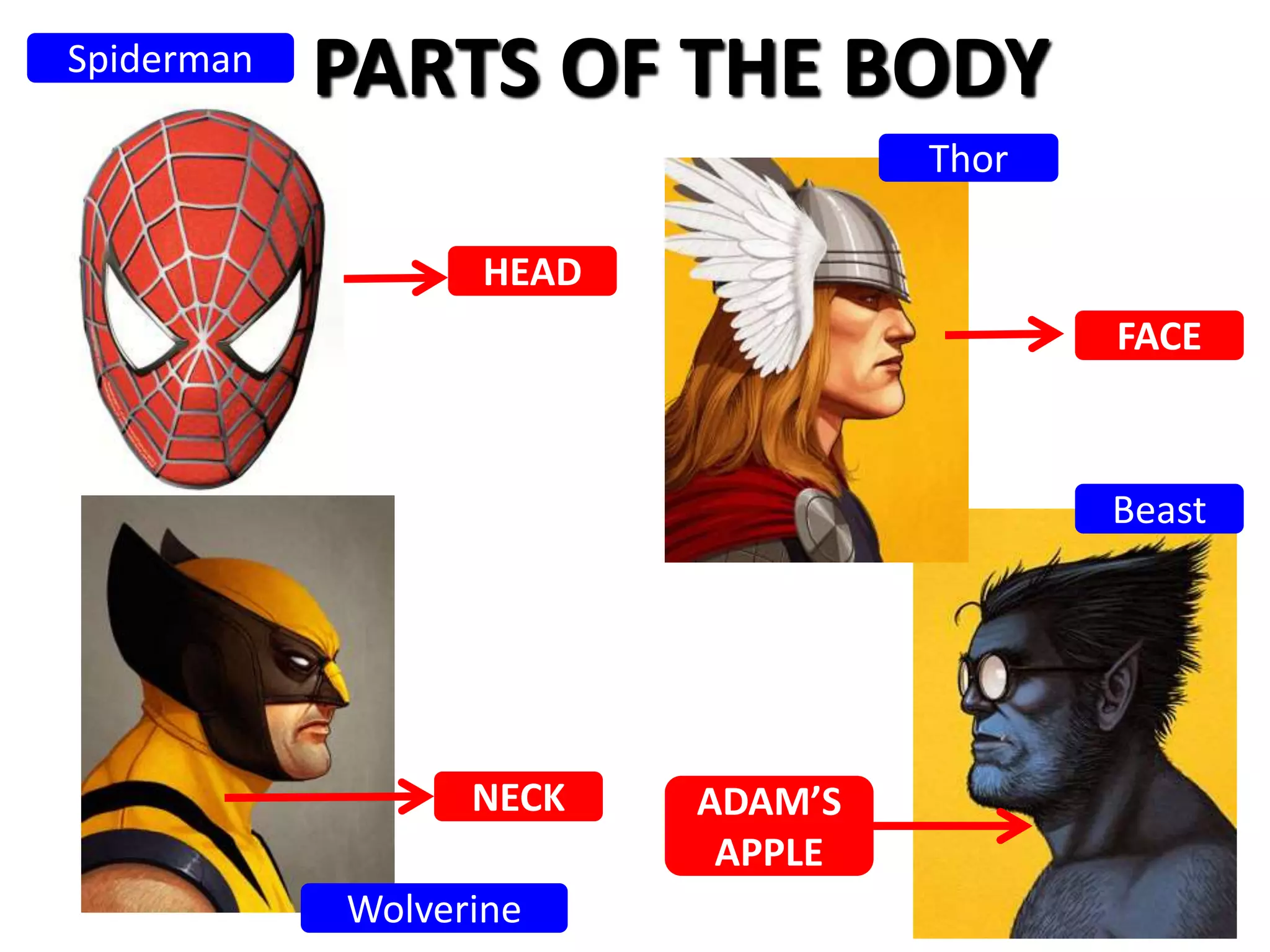 Body parts superheroes | PPTX