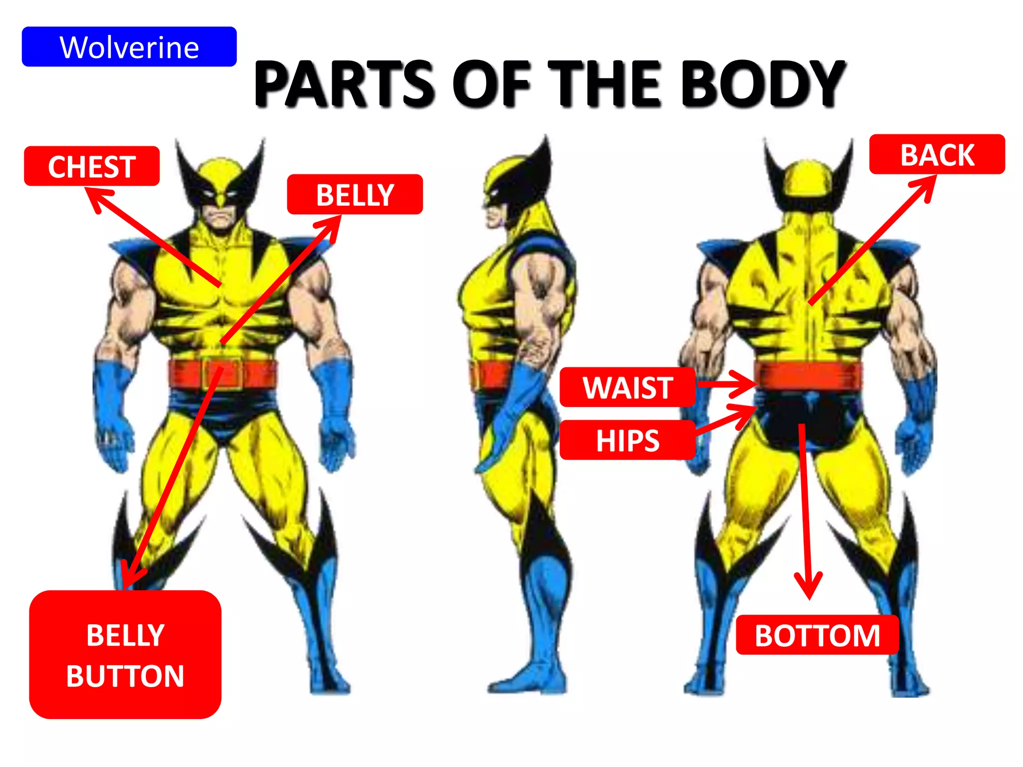 Body parts superheroes | PPTX