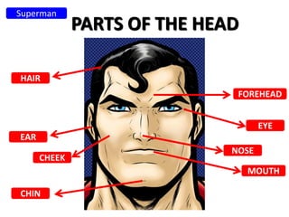 Body parts superheroes | PPTX