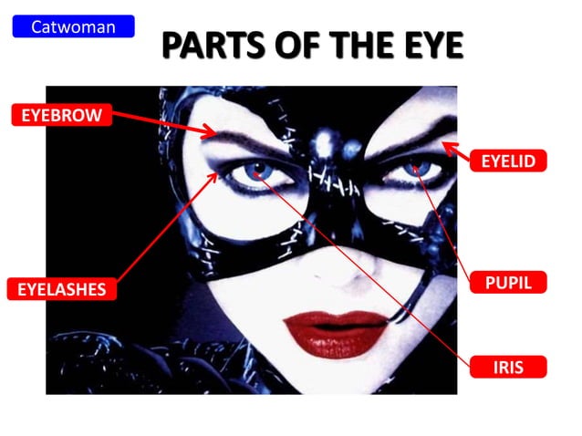 Body parts superheroes | PPTX