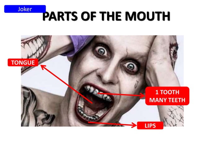 Body parts superheroes | PPTX