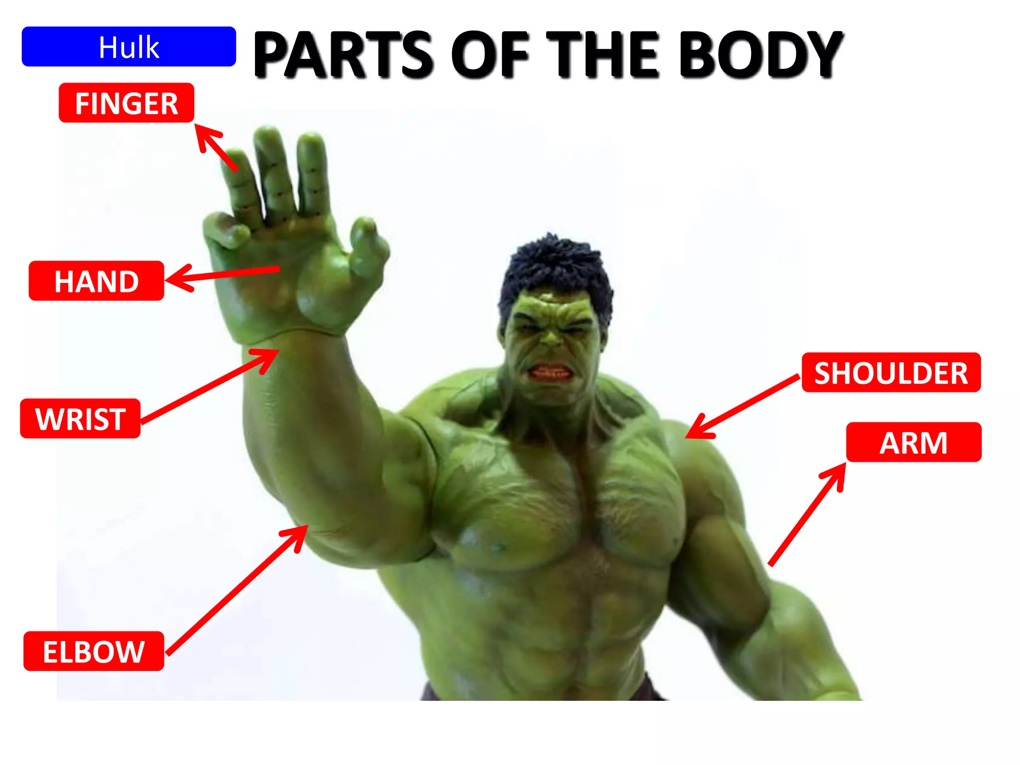 Body parts superheroes year 1 | PPT