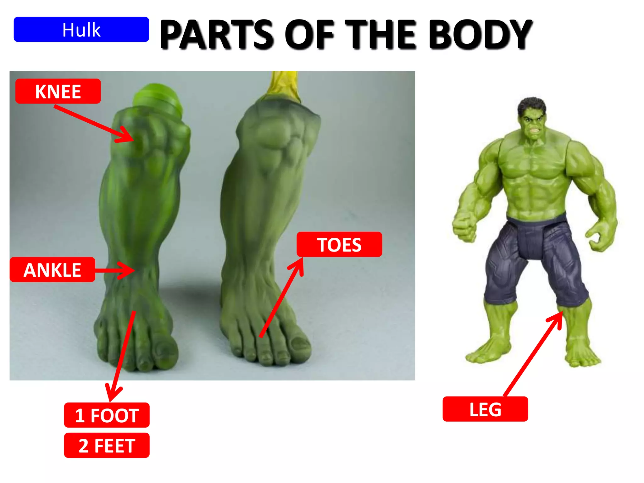 Body parts superheroes year 1 | PPT