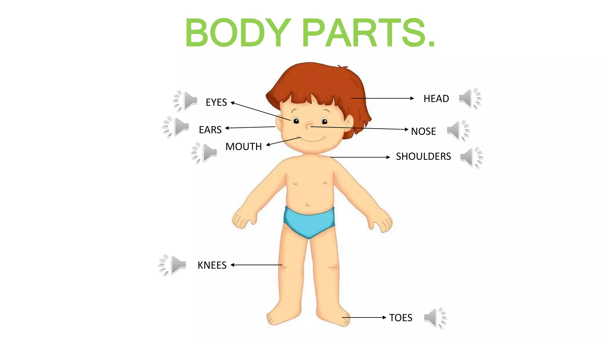 BODY PARTS THEROY EXPLANATION 1.ppsx