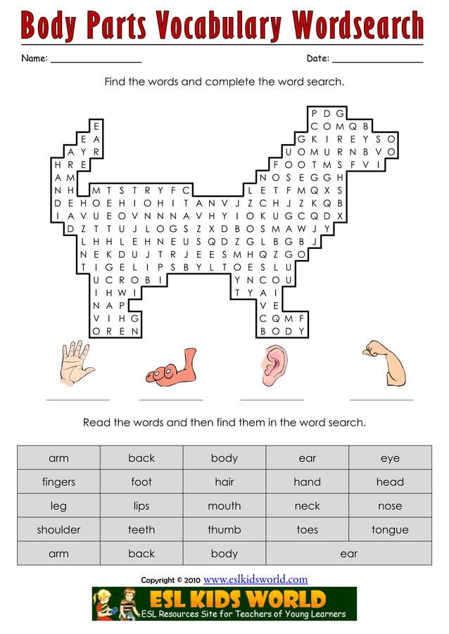 Body Parts Vocabulary Wordsearch Pdf Ear Nose And Throat
