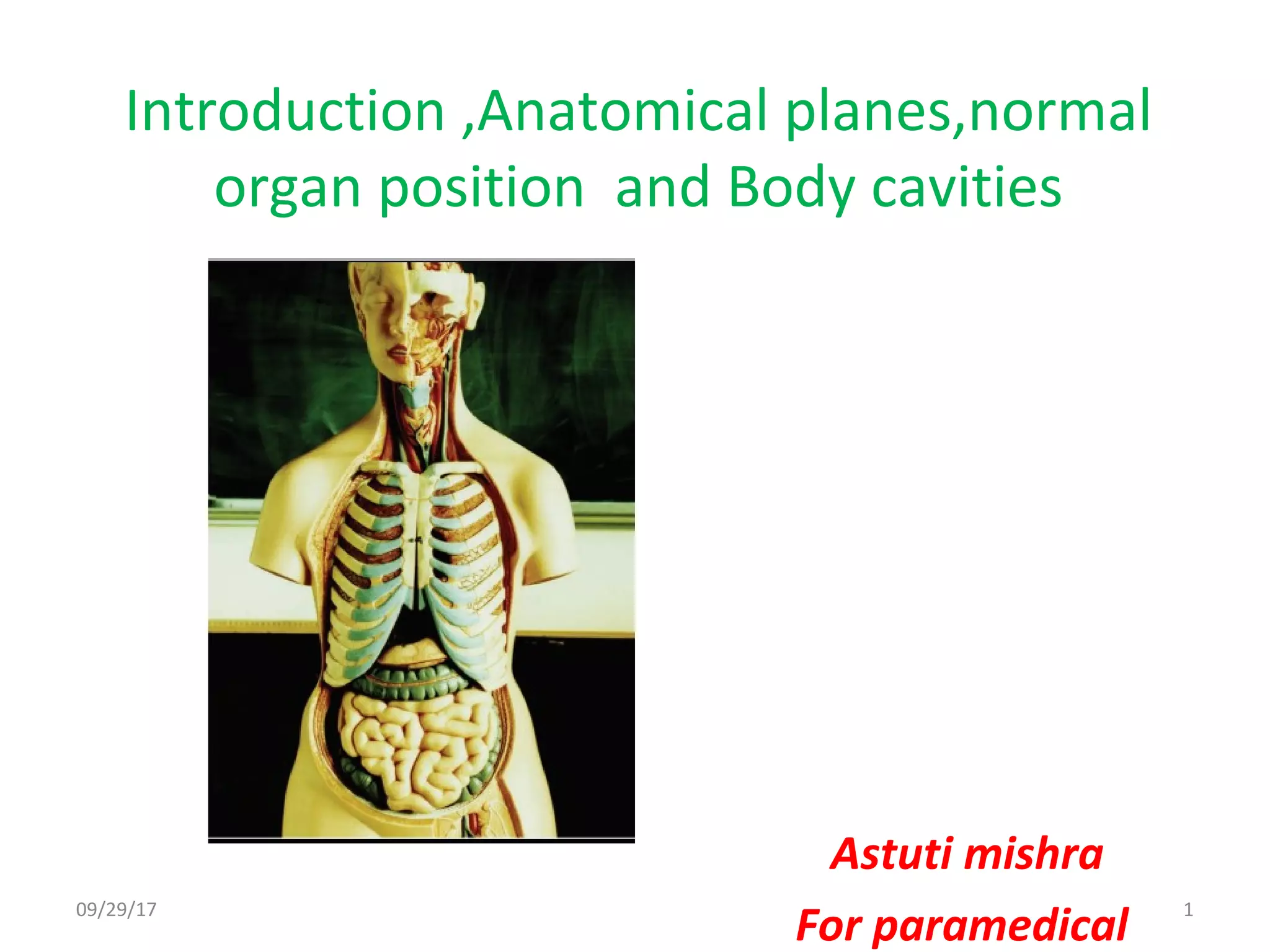 Body planes and body cavities (anatomy) | PPT