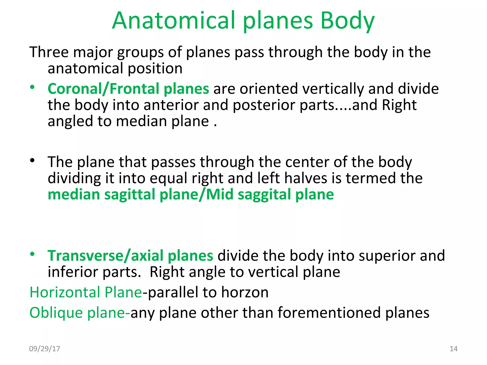 Body planes and body cavities (anatomy) | PPT