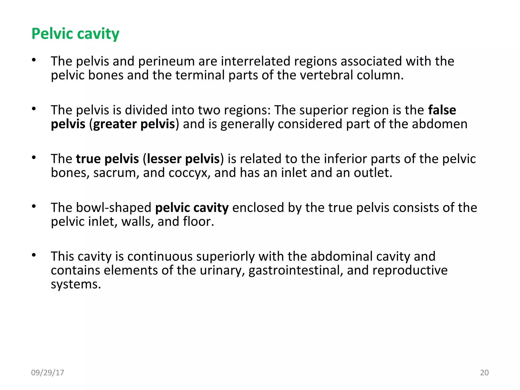 Body planes and body cavities (anatomy) | PPT