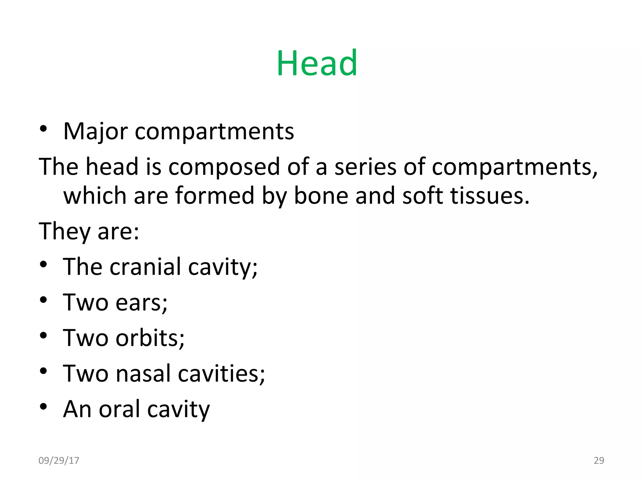Body planes and body cavities (anatomy) | PPT