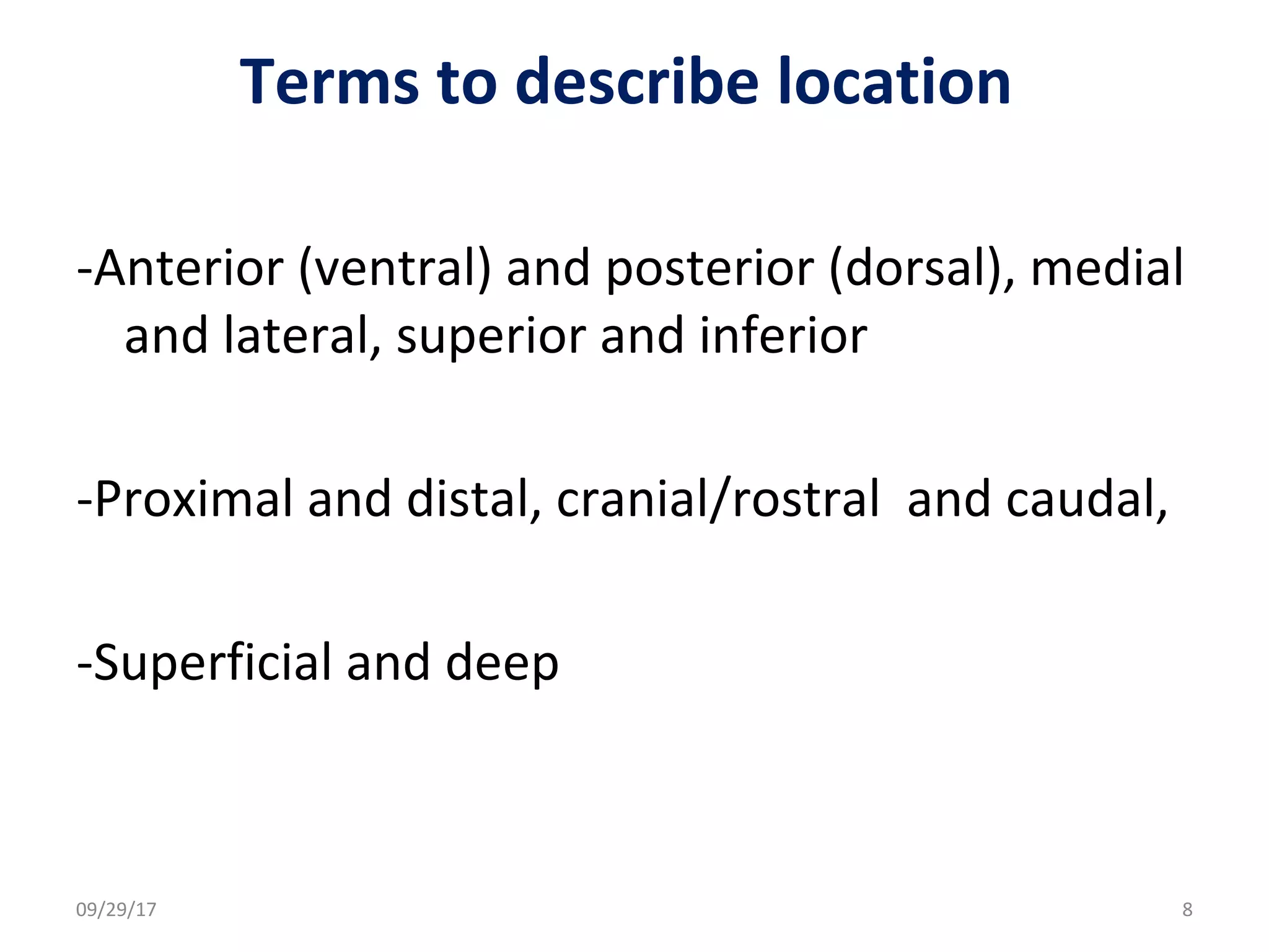 Body planes and body cavities (anatomy) | PPT
