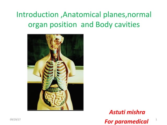 Body planes and body cavities (anatomy) | PPT | Death, Injury, or ...
