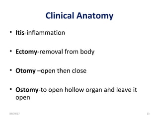Body planes and body cavities (anatomy) | PPT