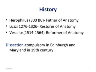Body planes and body cavities (anatomy) | PPT