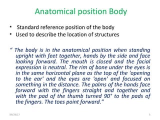 Body planes and body cavities (anatomy) | PPT