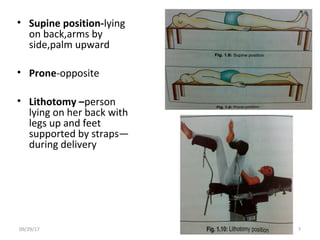 Body planes and body cavities (anatomy) | PPT