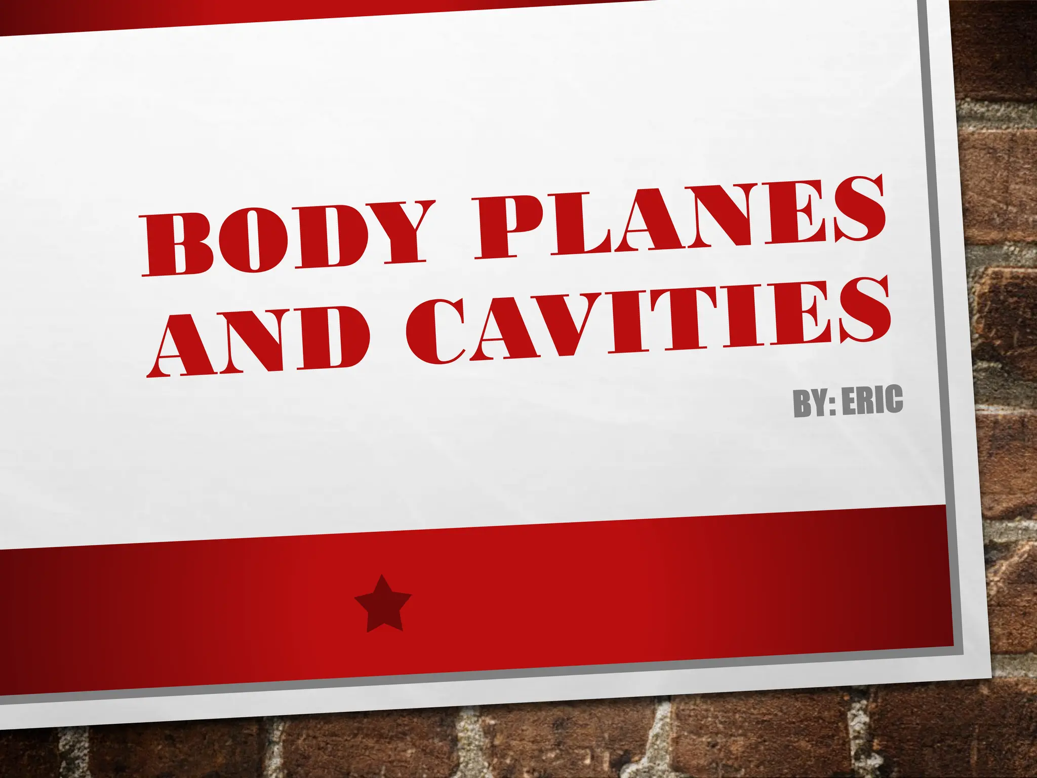Body important Planes and Cavities and others.pdf
