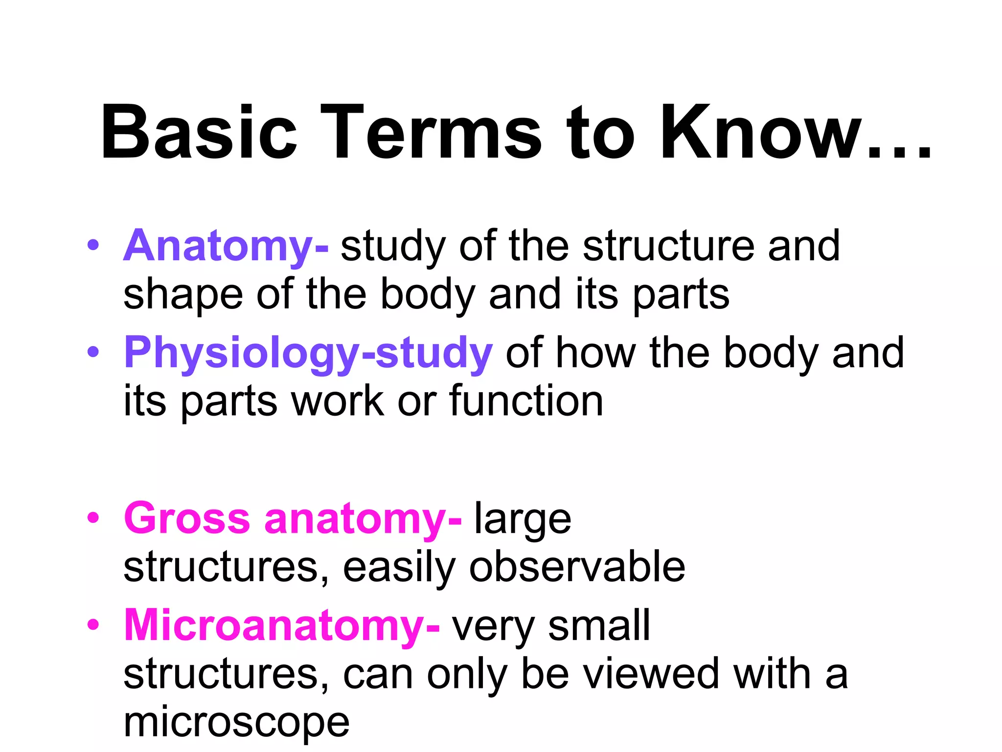 Body planesdirectionscavities | PPTX