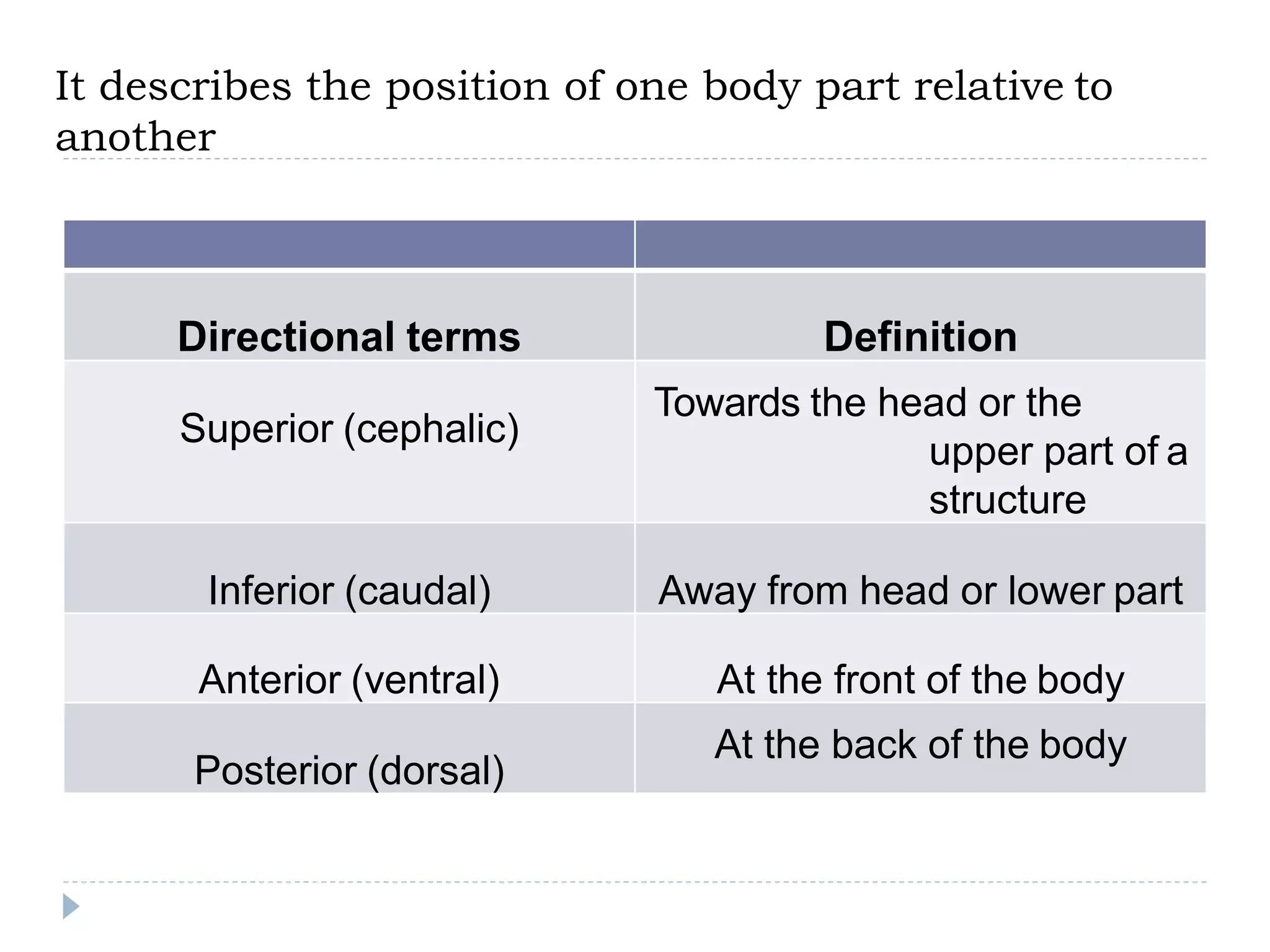 Body Planes movement, Positions and Direction.pptx