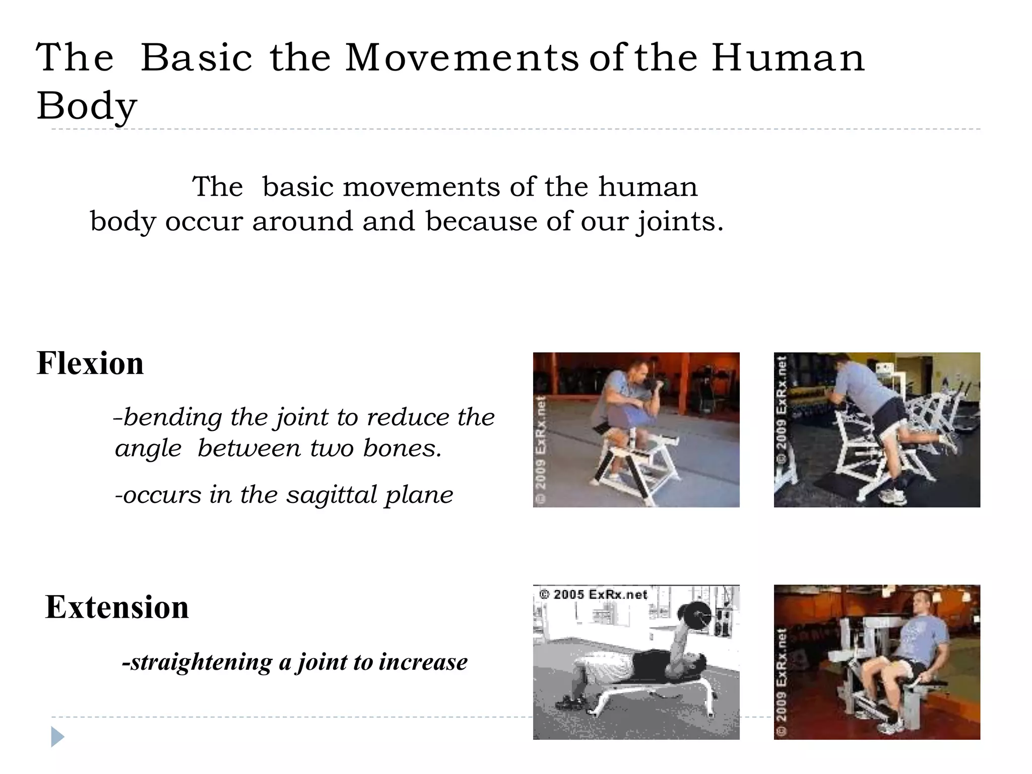 Body Planes movement, Positions and Direction.pptx