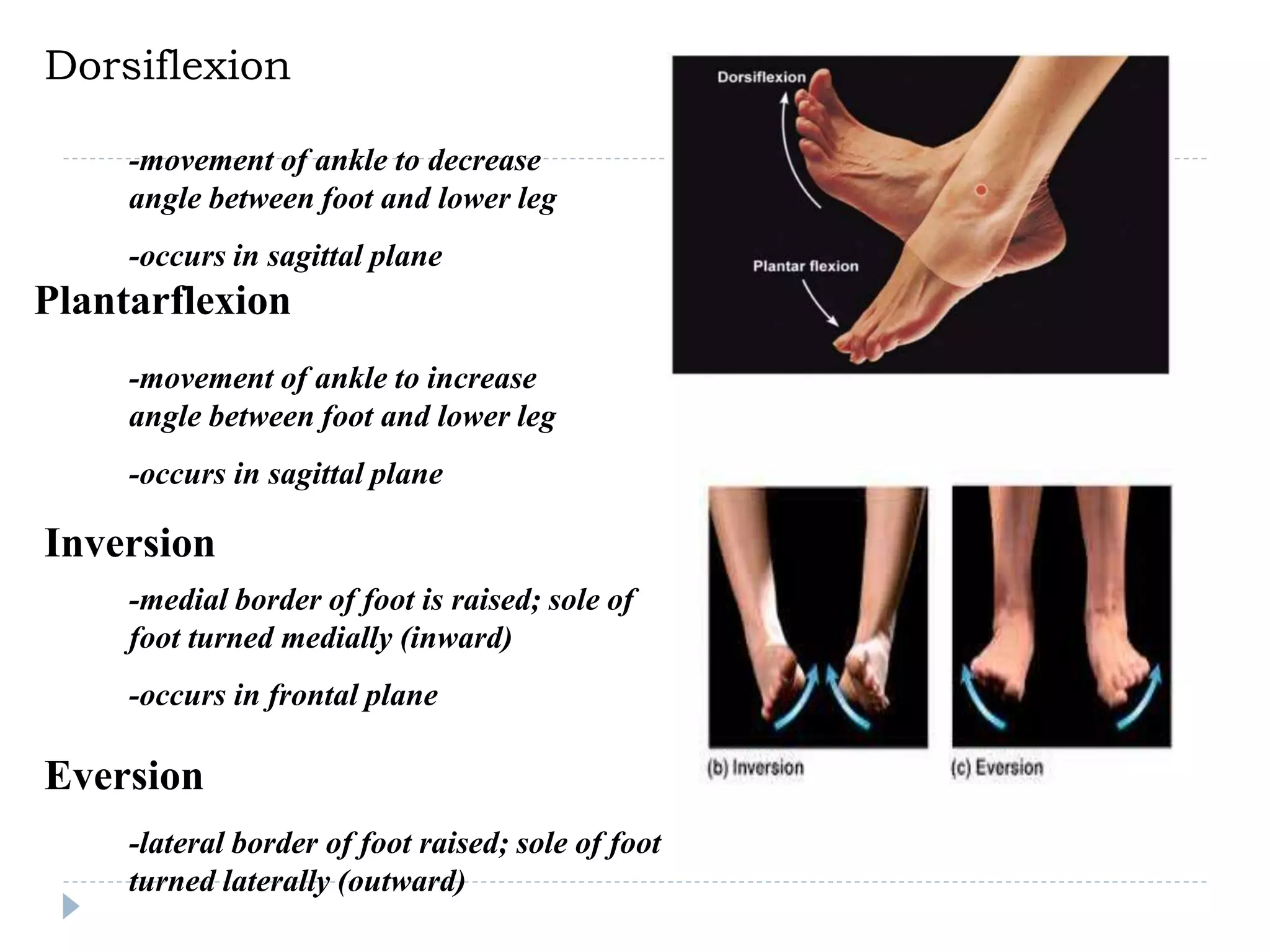 Body Planes movement, Positions and Direction.pptx