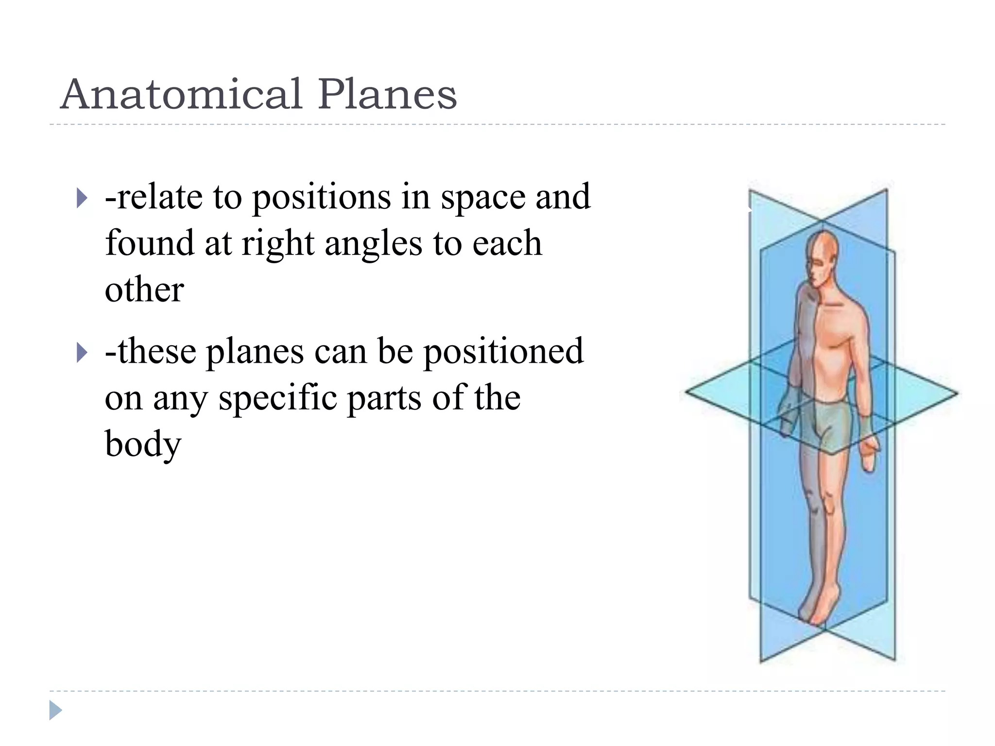 Body Planes movement, Positions and Direction.pptx