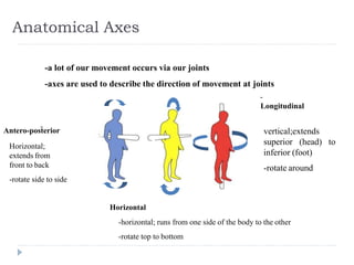 Body Planes movement, Positions and Direction.pptx
