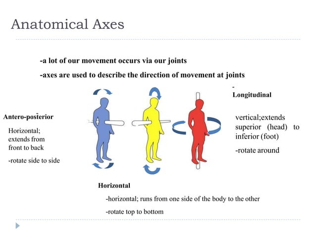 Body Planes movement, Positions and Direction.pptx