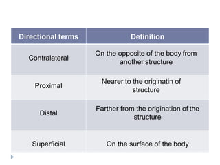 Body Planes movement, Positions and Direction.pptx