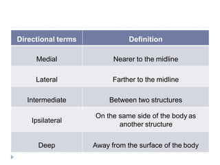 Body Planes movement, Positions and Direction.pptx