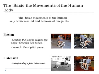Body Planes movement, Positions and Direction.pptx