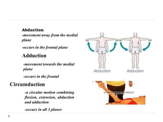 Body Planes movement, Positions and Direction.pptx