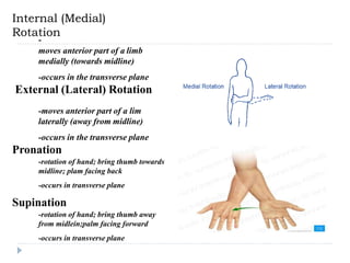 Body Planes movement, Positions and Direction.pptx