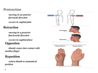 Body Planes movement, Positions and Direction.pptx