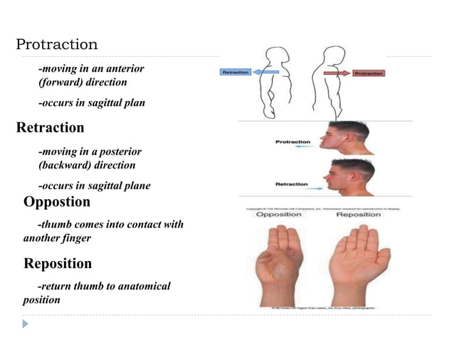 Body Planes movement, Positions and Direction.pptx