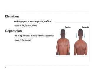 Body Planes movement, Positions and Direction.pptx