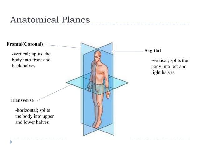 Body Planes movement, Positions and Direction.pptx