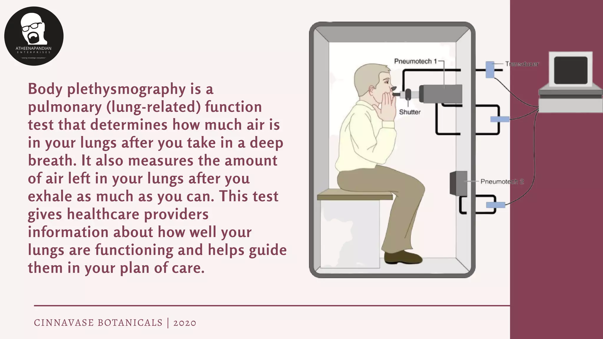 Body plethysmography - Basics | PDF