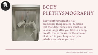 Body plethysmography - Basics | PDF