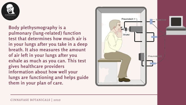 Body plethysmography - Basics | PDF | Lung and Respiratory Health ...