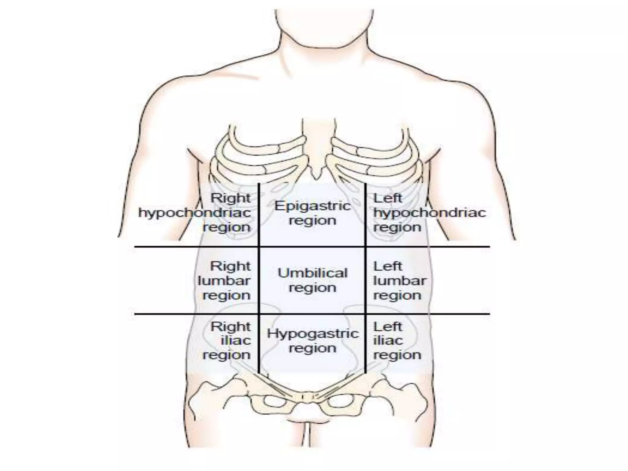 Medical Terminology - Body position | PPTX