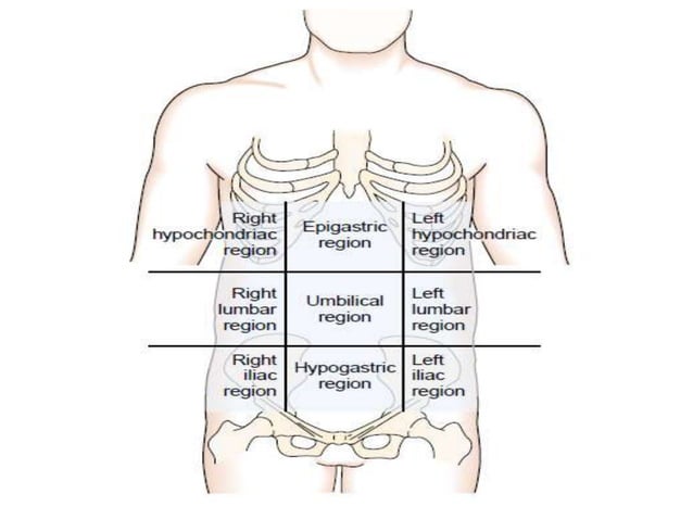 Medical Terminology - Body position | PPTX