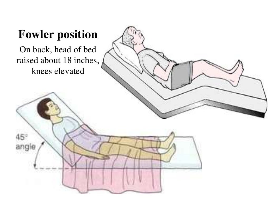 Medical Terminology - Body position