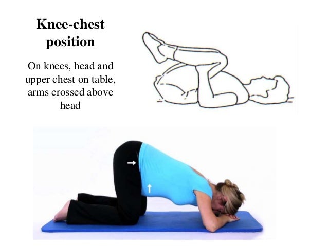 Medical Terminology - Body position