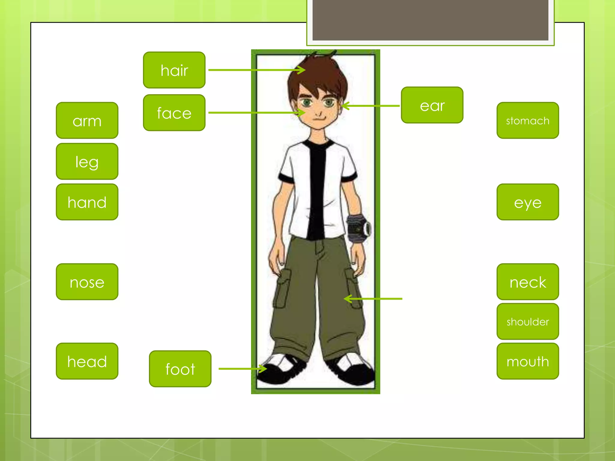 English Body Parts Quiz | PPTX