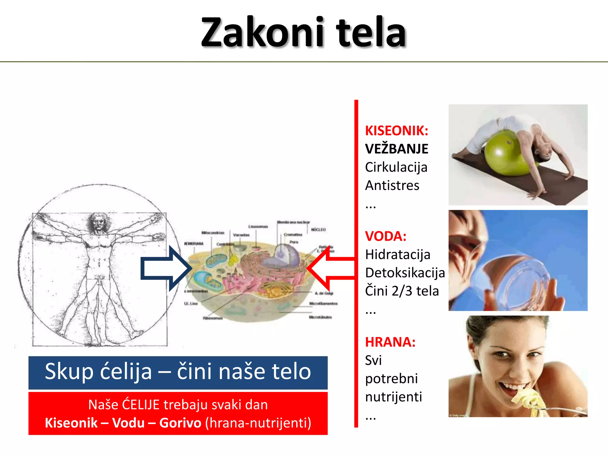 Prezentacija o zdravoj ishrani | PPT