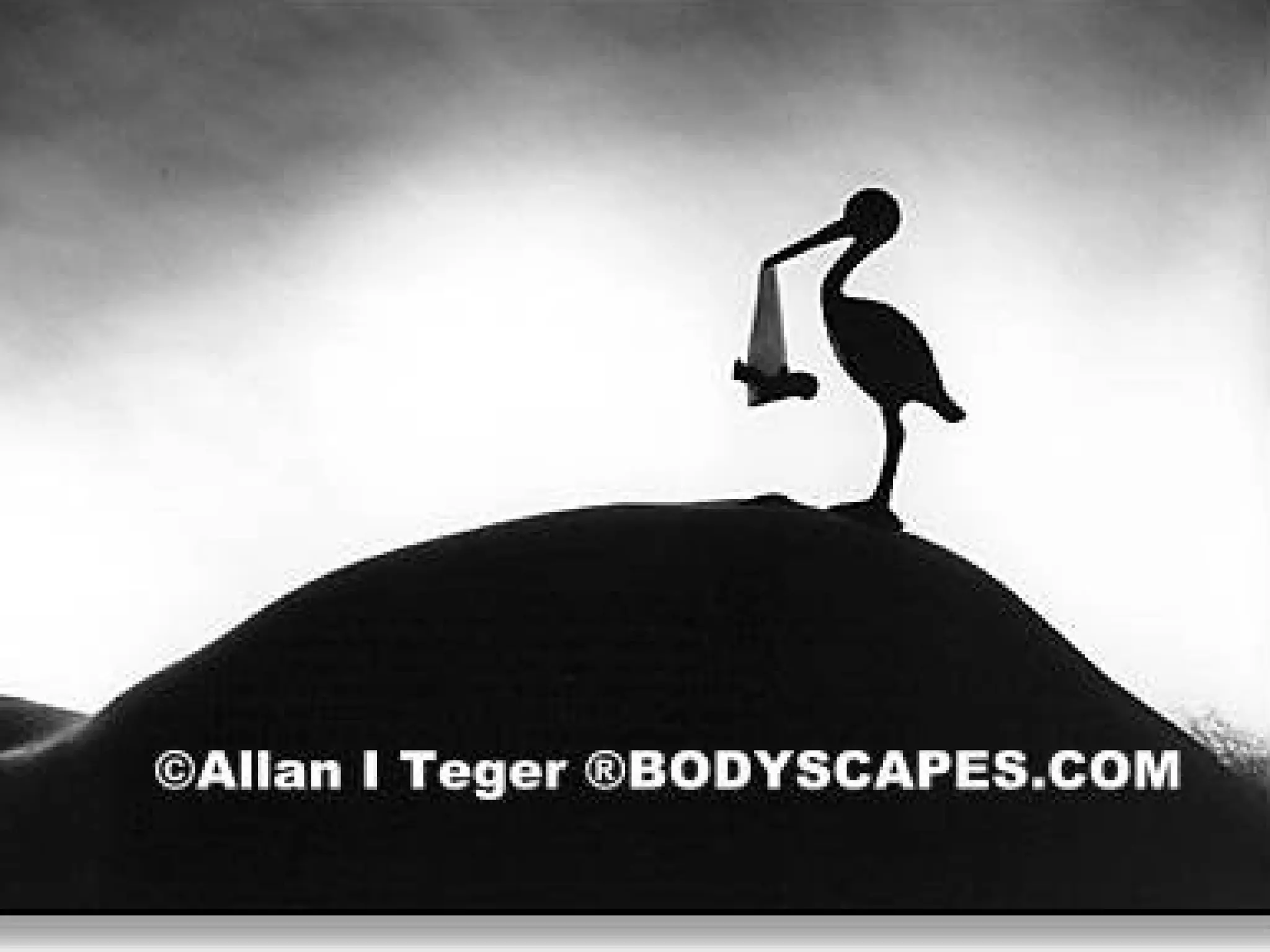 Body scapes | PPT